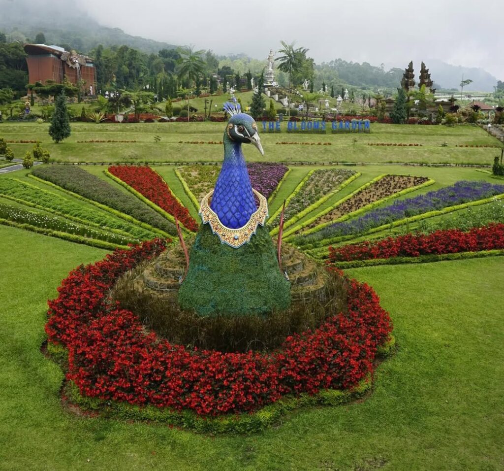 The Blooms Garden, Taman Bunga Terbesar di Bali dengan Konsep ...